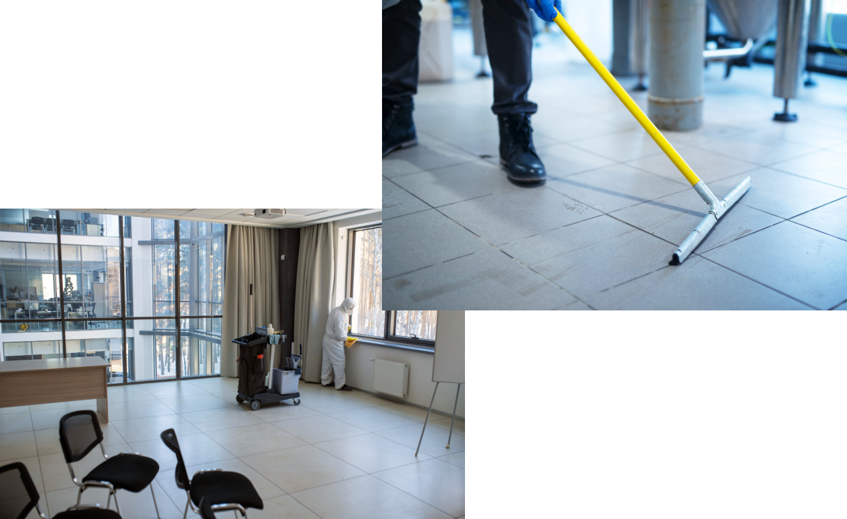 Floor Cleaning Services | Hardwood, Tile and Laminate Floors